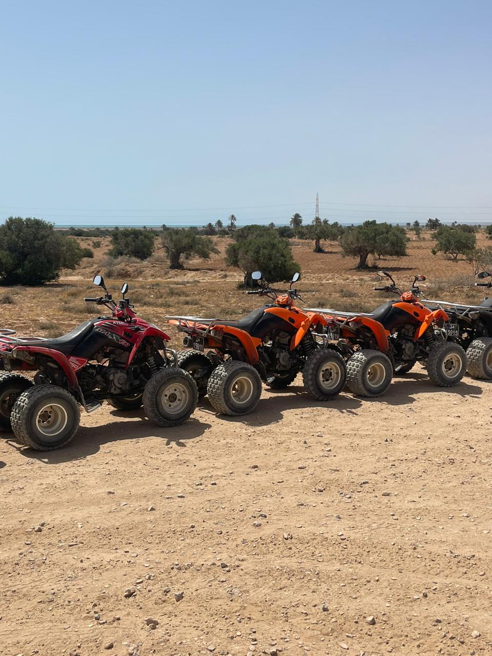 Excursion en Quad à Djerba : Explorez l'île en Quad - Djerba Booking