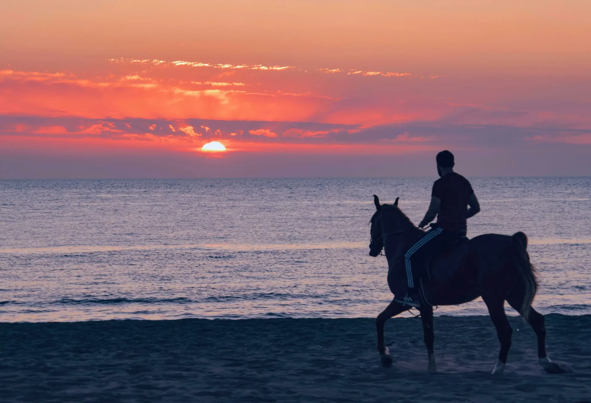 Balade à Cheval Vers l’Île des Flamants Roses - Djerba Booking