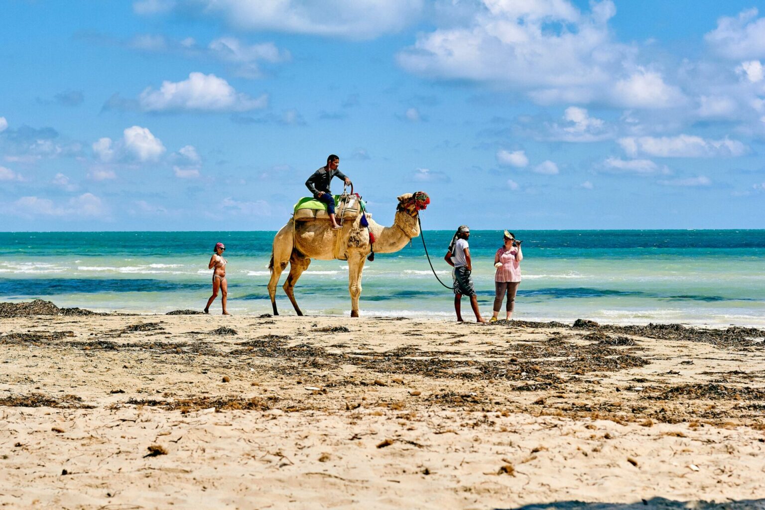 Les 10 Activités à Faire à Djerba : Guide Complet - Djerba Booking