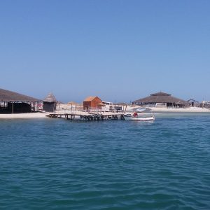 Excursion En Bateau Pirate vers L’île des Flamands Rose Djerba – Djerba ...