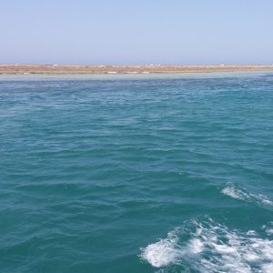 Excursion En Bateau Pirate vers L’île des Flamands Rose Djerba – Djerba ...